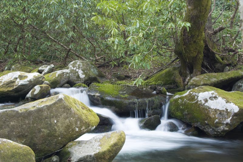 Spring runoff stock photo. Image of tranquil, travel, environment - 716824