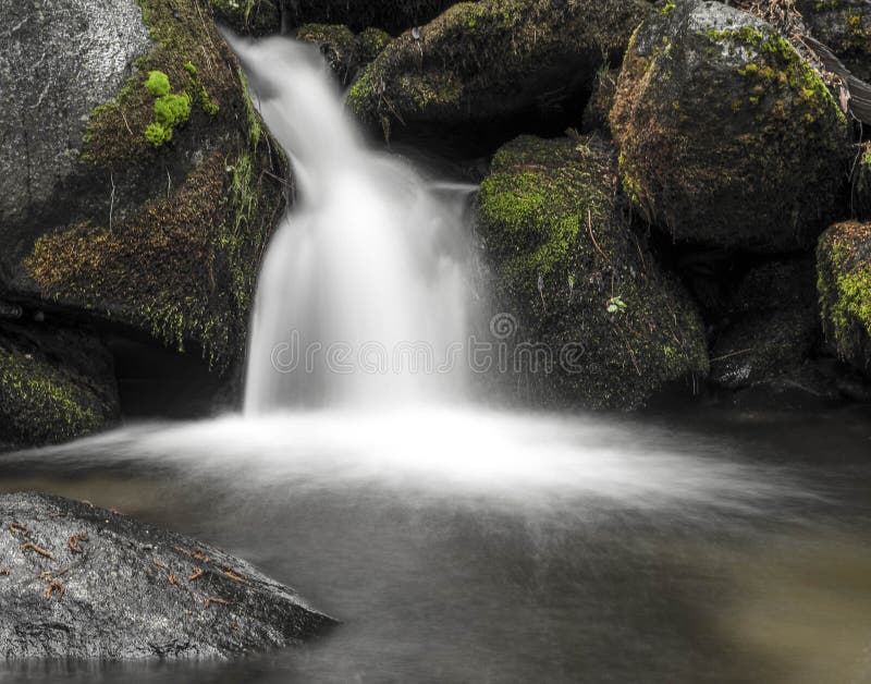 Spring Runoff, Sequoia National Forest Stock Image - Image of quiet ...