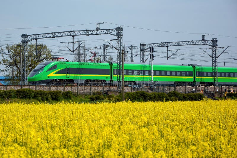 A Train Passing through the Countryside Full of Flowers in Spring Stock ...
