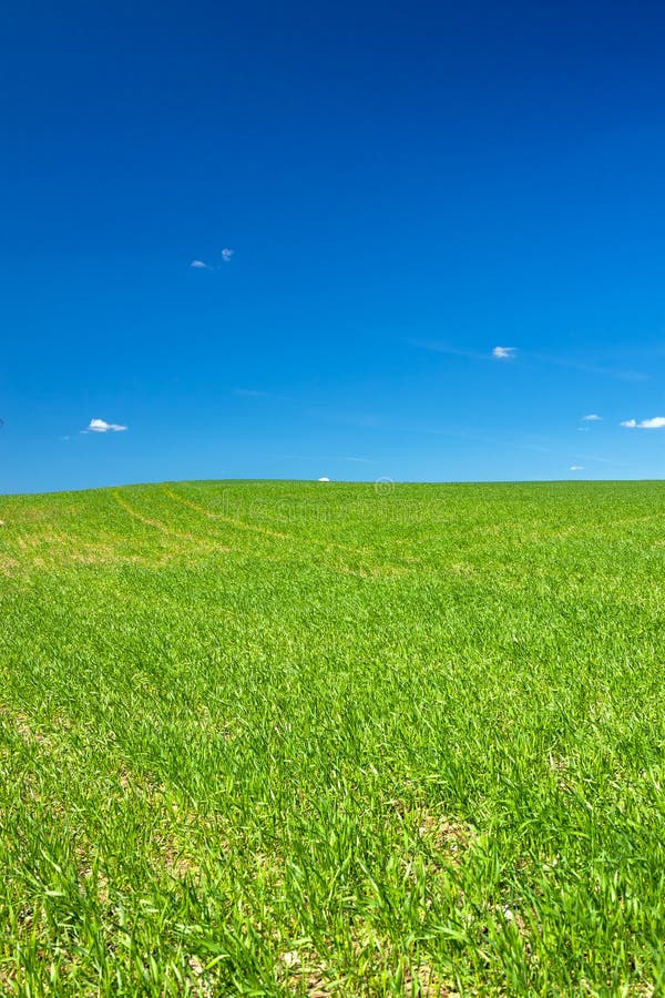 Spring Rural Landscape with Field and Blue Sky Stock Photo - Image of ...