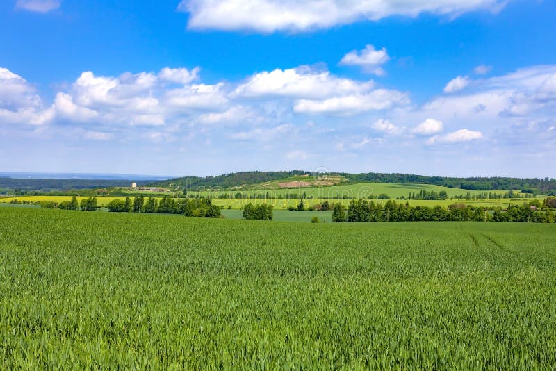 Spring rural landscape. stock image. Image of green - 135633449