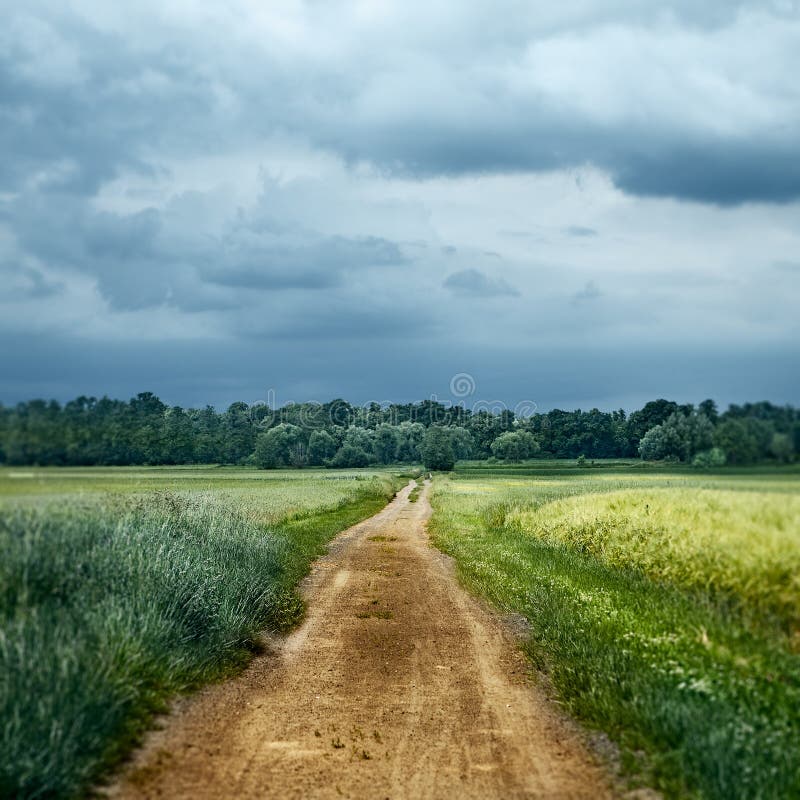 Spring Rural Landscape with a Farm, Roe Deer on Meadows, Fields. Stock ...