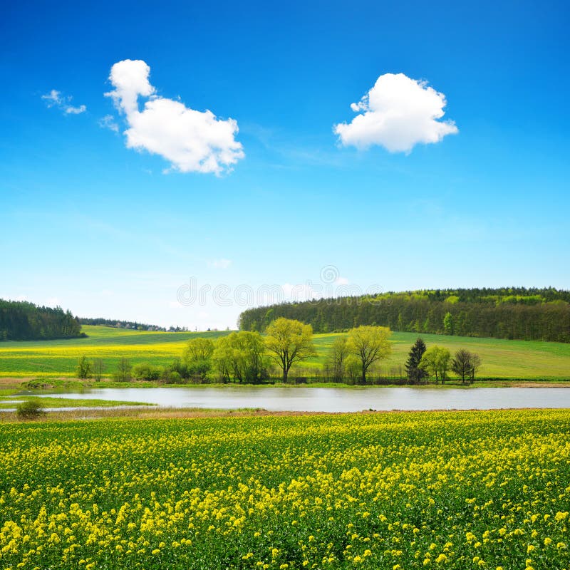 Spring Rural Landscape at Sunrise. Stock Image - Image of plant, dirt ...