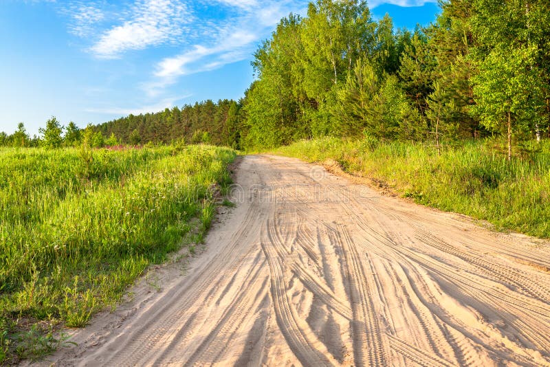 Spring Rural Landscape with a Farm, Roe Deer on Meadows, Fields. Stock ...