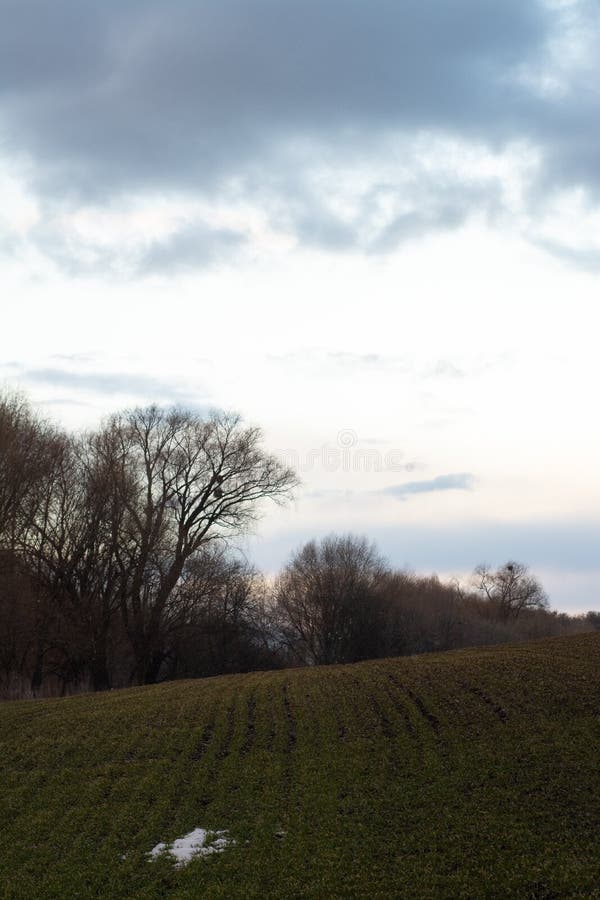 Spring rural landscape stock photo. Image of horizon - 215364588