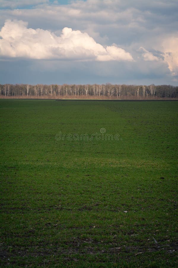 Spring rural landscape stock image. Image of nature - 215365043