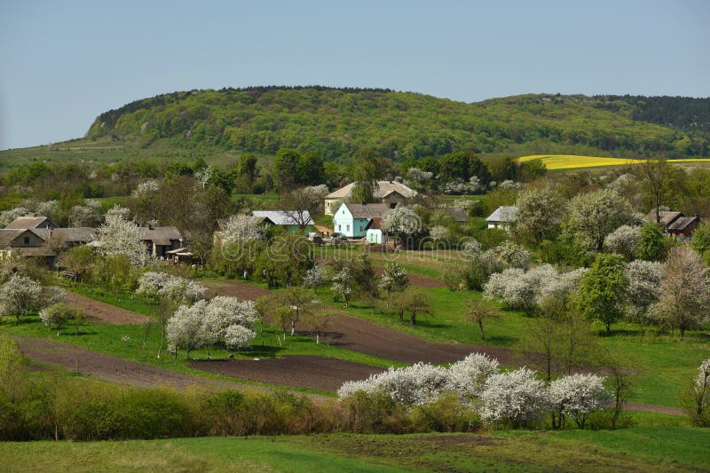 Spring Rural Landscape. Spring in the Ukrainian Village Stock Image ...