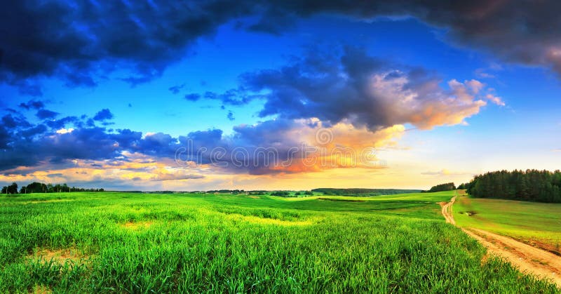 Spring Rural Scene. Green Fields after Spring Rain Stock Image - Image ...