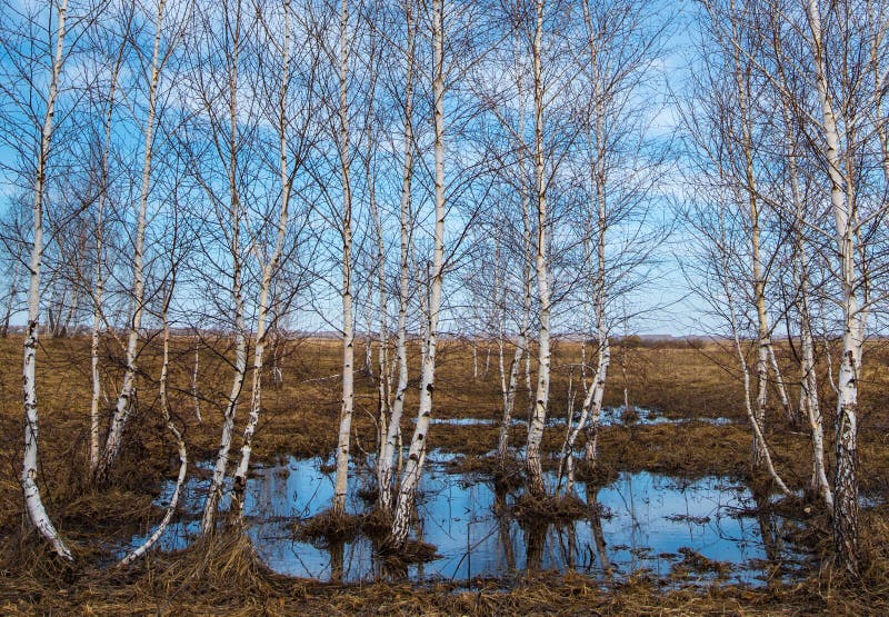 Spring in Russia stock image. Image of water, white, silhouette - 53493307