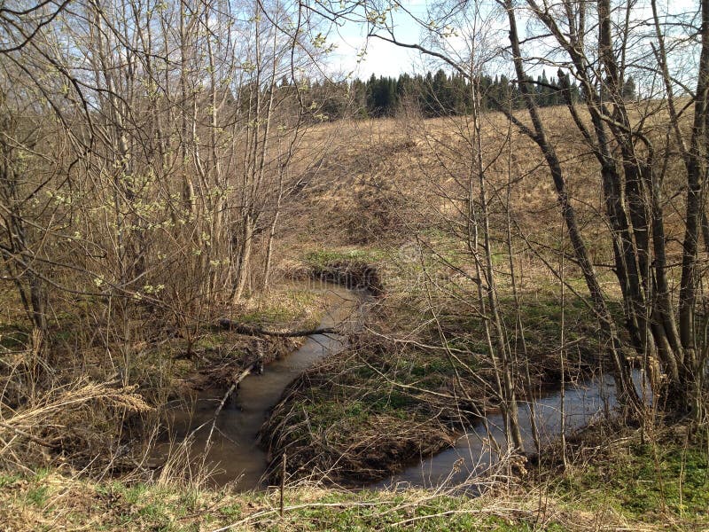 Spring in Russia stock image. Image of grass, field, spring - 53662361