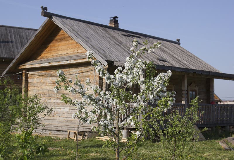 Spring in russian village stock photo. Image of russia - 49739236
