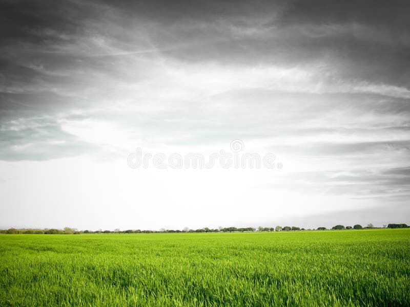 Spring s storm stock image. Image of landscape, vegetation - 5579419