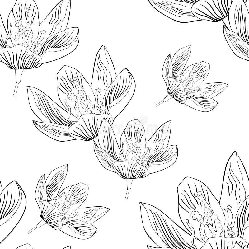 The is Spring Saffron Flower. Vector Illustration Stock Vector ...