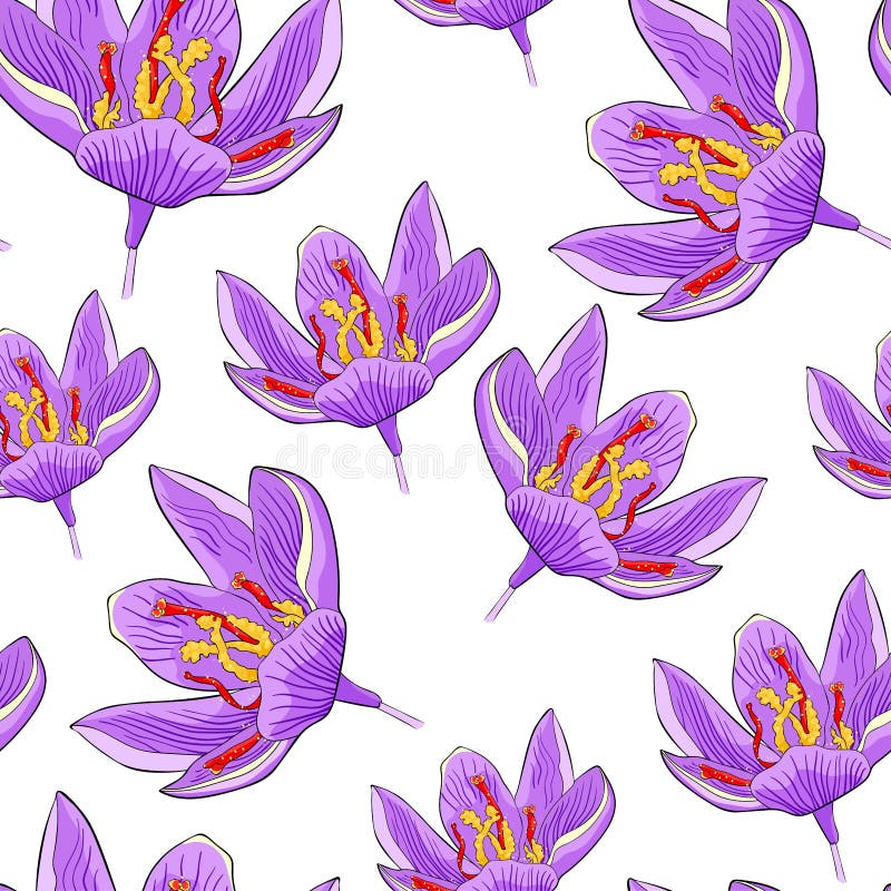 Watercolor Saffron Herb. Seamless Pattern Stock Vector - Illustration ...