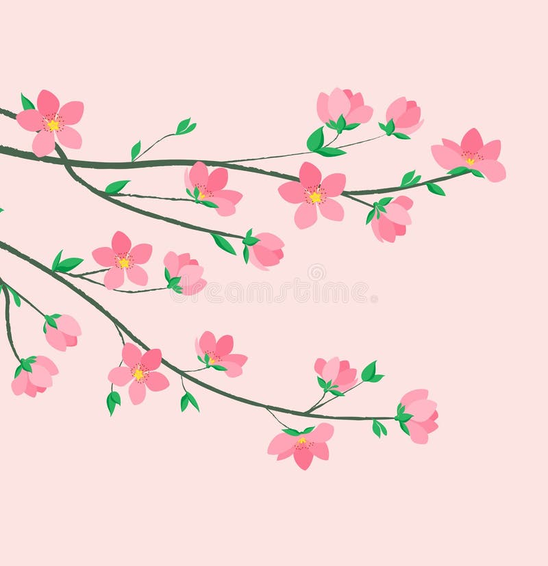 Spring sakura blossom stock vector. Illustration of asia - 86405013