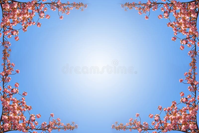 Bamboo frame stock image. Image of chinese, garden, bright - 15791133