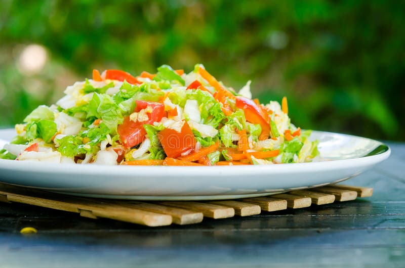 Spring salad stock photo. Image of appetizer, fresh, dinner - 52231412