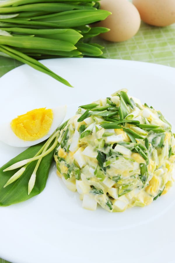 Spring salad with ramson stock image. Image of ramson - 24028129