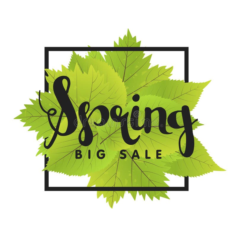 Spring Sale Poster with Green Leaf. Vector Banner Template Illustration ...