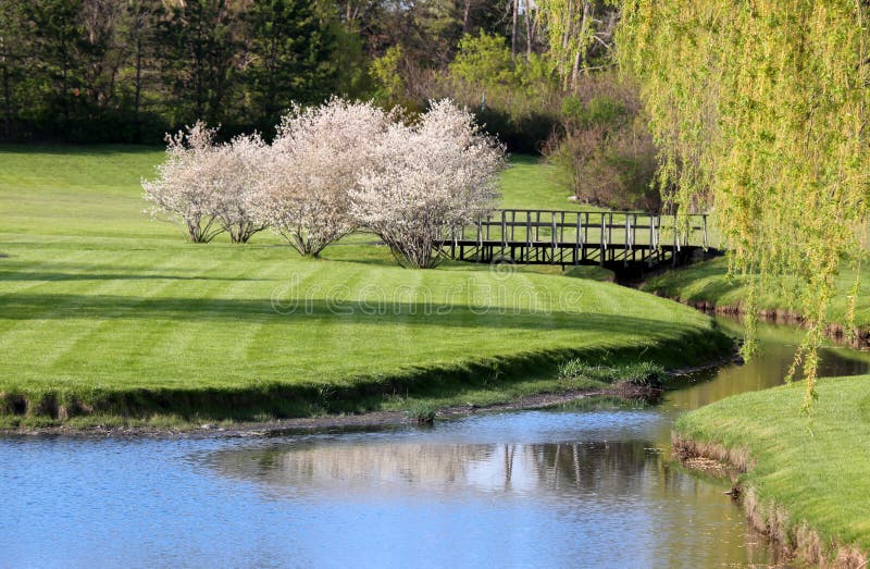 Spring Scene stock photo. Image of tree, countryside, nature - 6877492