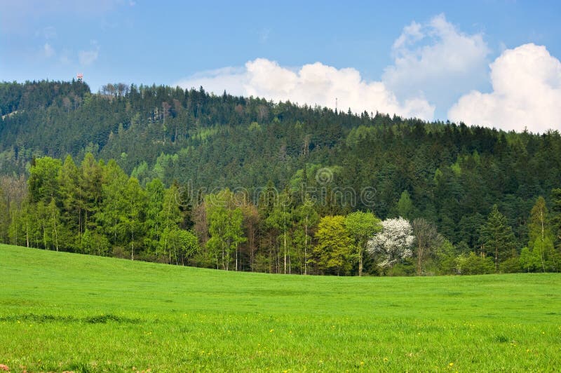 Spring scene stock image. Image of landscape, countryside - 19669385