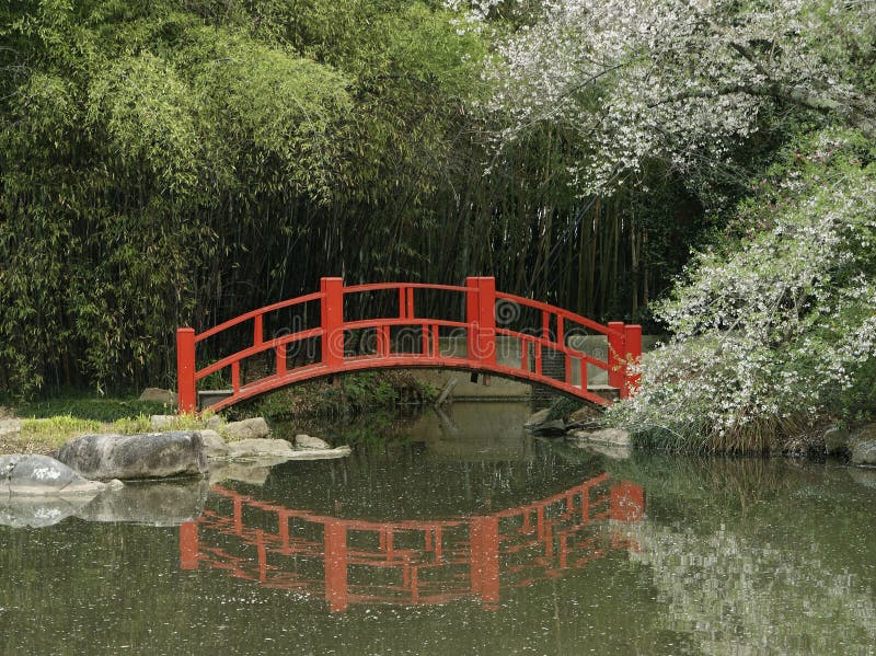 Spring Scene stock photo. Image of rural, foliage, picturesque - 4814464