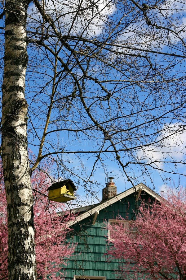 Garden scene stock photo. Image of nice, relaxing, bloom - 731552