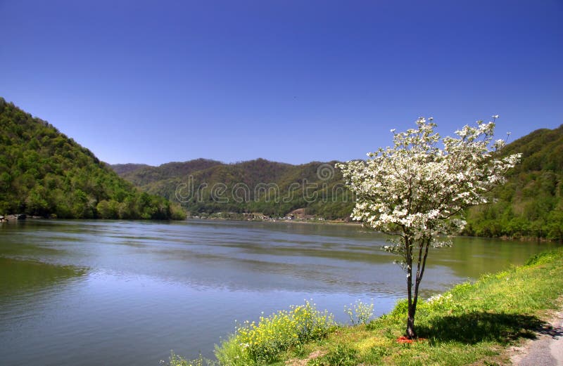 13,174 Virginia Spring Stock Photos - Free & Royalty-Free Stock Photos ...