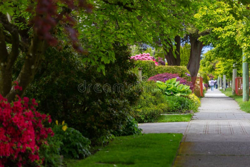 Spring garden stock photo. Image of botany, domestic - 266913798