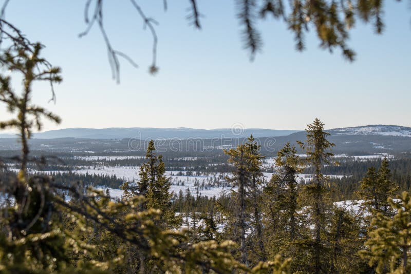 Spring Scene on Hedmarksvidda Budor, Hedmark County Norway Stock Image ...