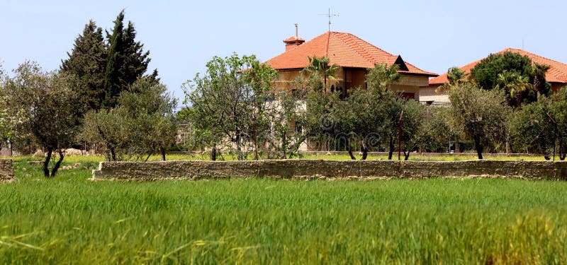 A spring scene stock photo. Image of landscape, building - 379511448