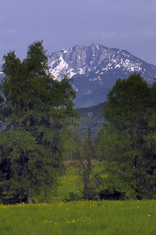 Spring scenery stock photo. Image of acres, fresh, area - 11848414