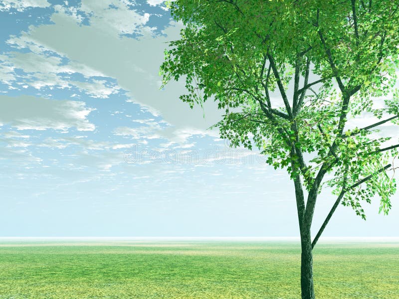 Spring Scenery Picture. Image: 5687858