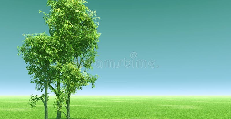 Spring scenery stock image. Image of floral, grow, beauty - 5864613