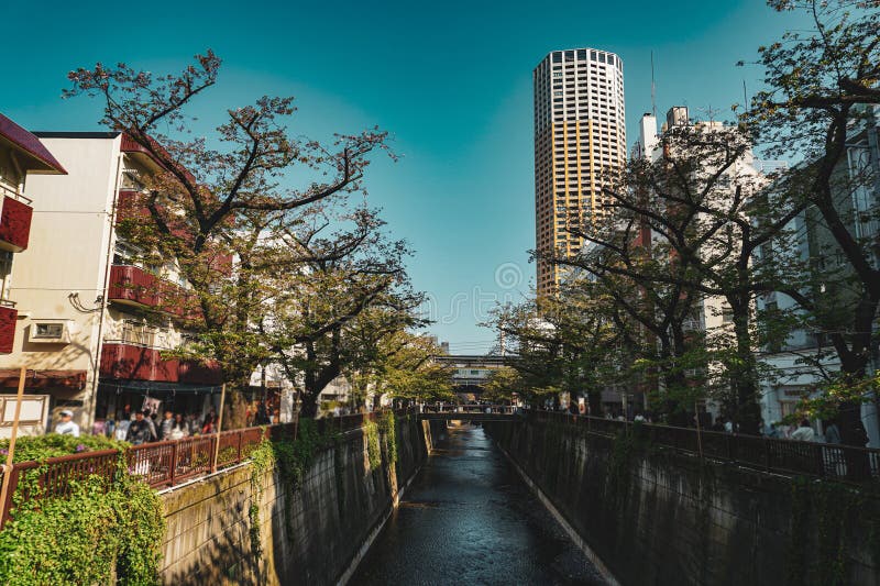 Spring Scenery Along the River Stock Photo - Image of tokyo, river ...