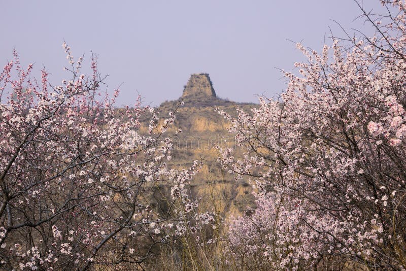 Spring beacon tower stock photo. Image of northern, chinese - 242511788