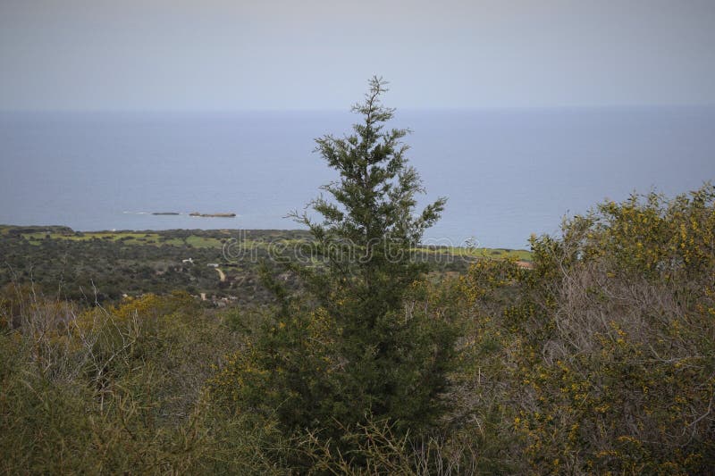 Spring scenery of Cyprus stock image. Image of deniz - 274423369