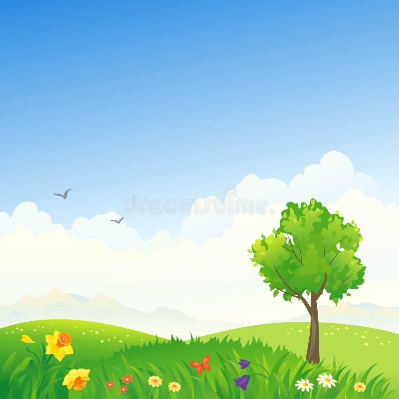 Spring scenery stock vector. Illustration of color, daffodil - 51516098