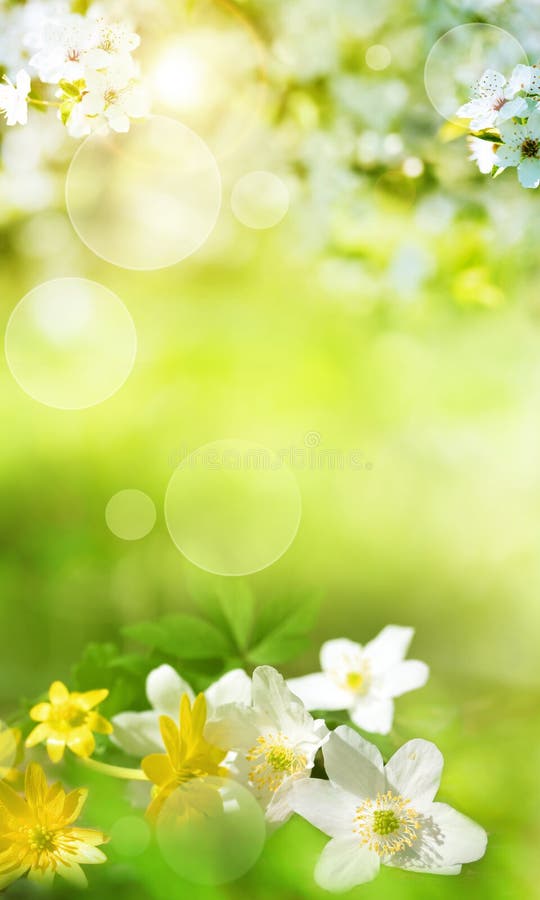 Spring Scenery with Smal Flowers Stock Photo - Image of green, outdoors ...