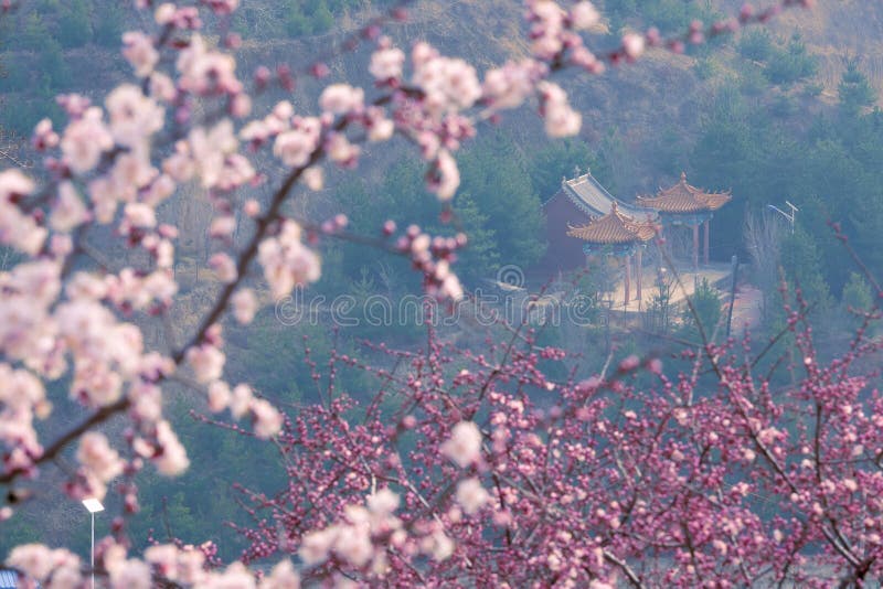 Spring temple stock image. Image of landscape, flowers - 178557953