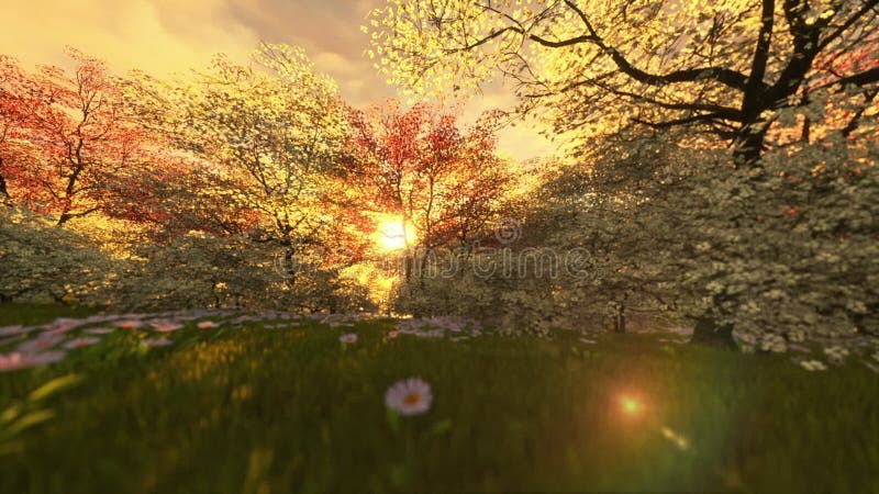 Spring Scenery at Sunrise, Camera Fly Stock Video - Video of natural ...