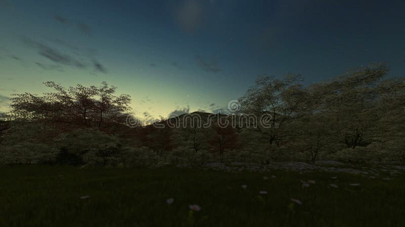 Timelapse Night Sky Stars. Mountain and Trees Silhouette Stock Video ...