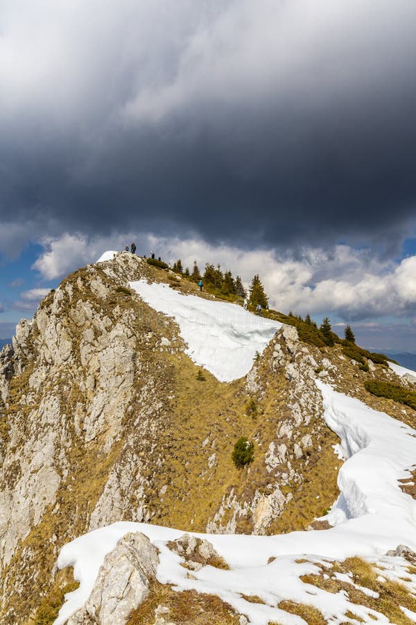 Spring Scenery in the Transylvanian Alps, with Snow and Pine Forests ...