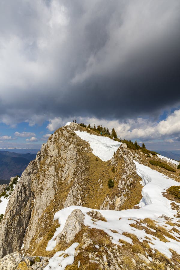 Spring Scenery in the Transylvanian Alps, with Snow and Pine Forests ...