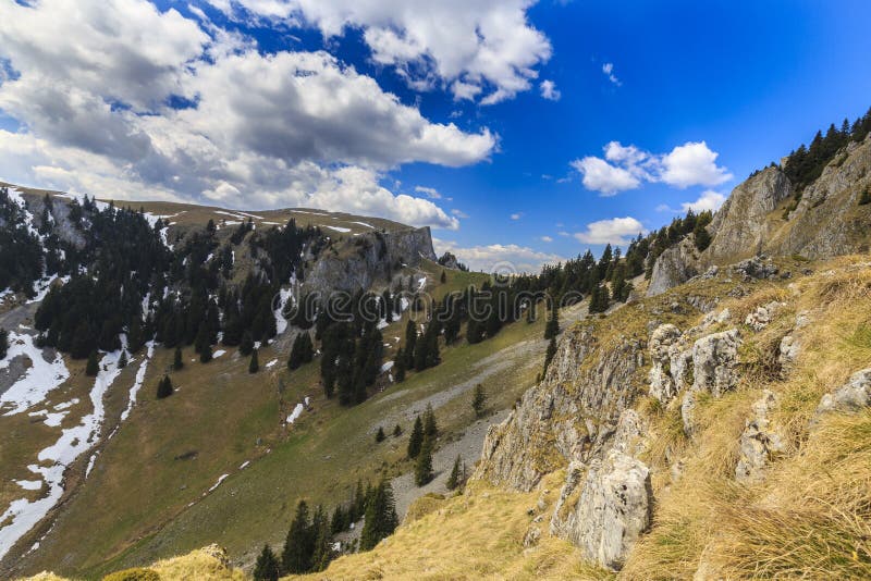 Spring Scenery in the Transylvanian Alps, with Snow and Pine Forests ...