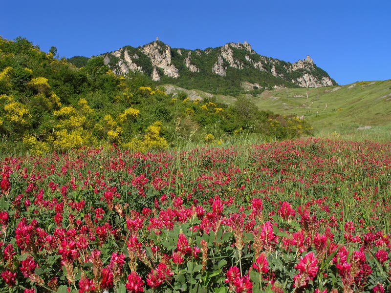 Spring scenic stock image. Image of landscape, marino - 2969915