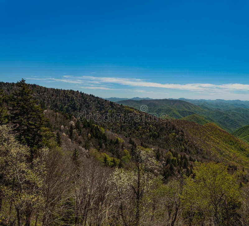 Spring Scenics on the Blue Ridge Parkway Stock Photo - Image of idyllic ...