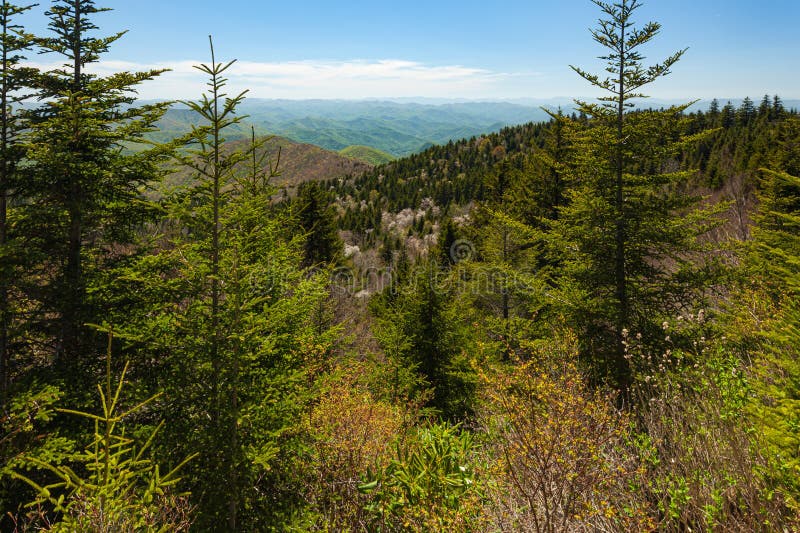 Spring Scenics on the Blue Ridge Parkway Stock Photo - Image of ...