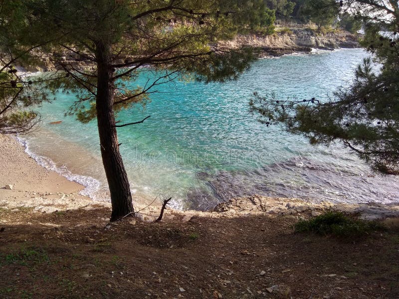 Pitcure Day Stock Photos - Free & Royalty-Free Stock Photos from Dreamstime