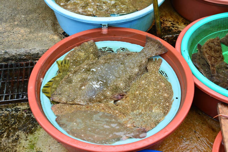 Spring stock photo. Image of travel, landscapes, square - 81618240